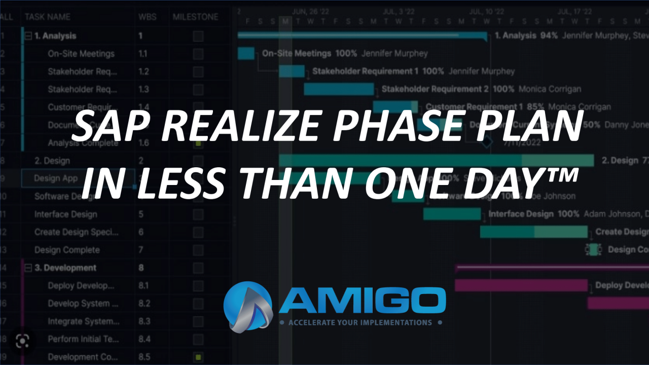 SAP Realize Phase Plan in Less Than One Day™ - AMIGO by Platinum PMO